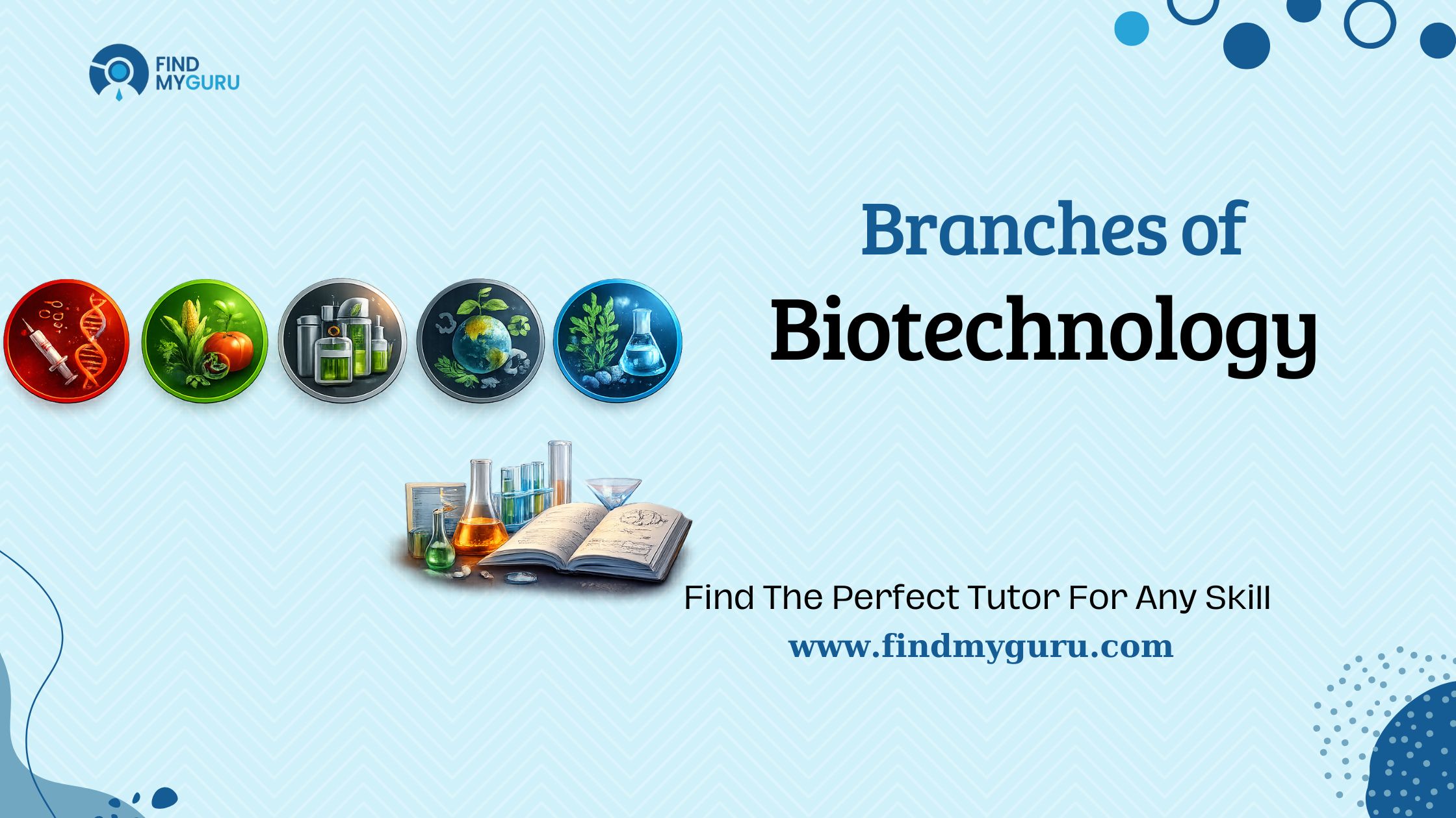 Branches of Biotechnology: Types, Fields, Terms & Curriculum Explained ...